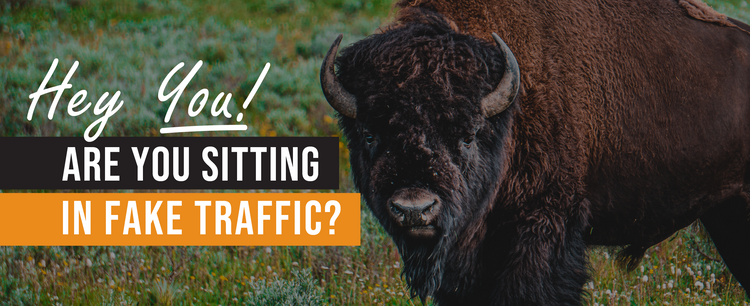 Are You Sitting in Fake "Bison Traffic?" – Behavior Shift