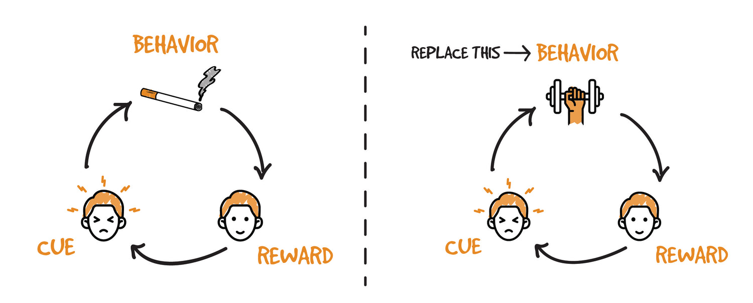 Quick Tips: The Habit Loop – Behavior Shift